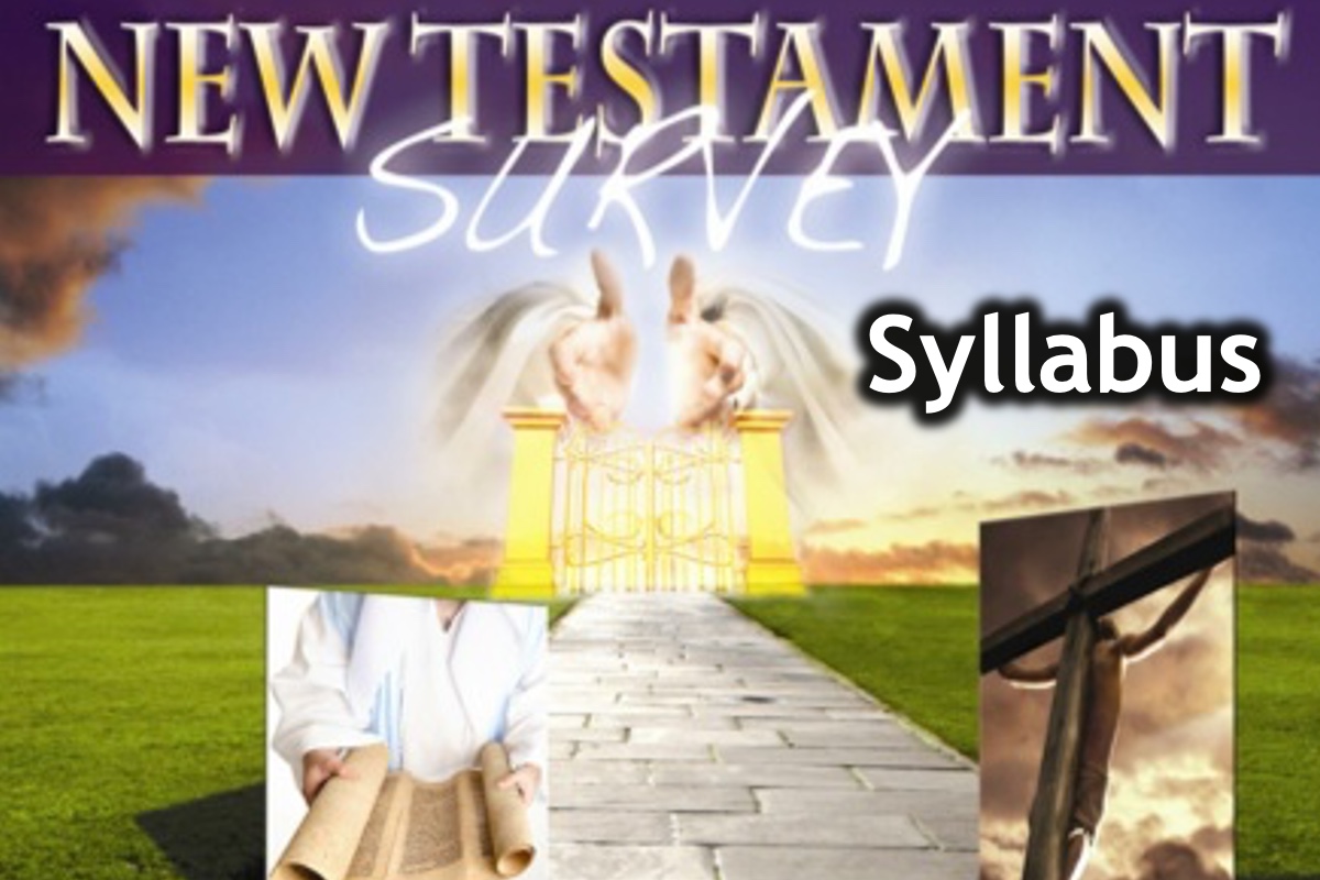 NT Survey – Bible Study Downloads