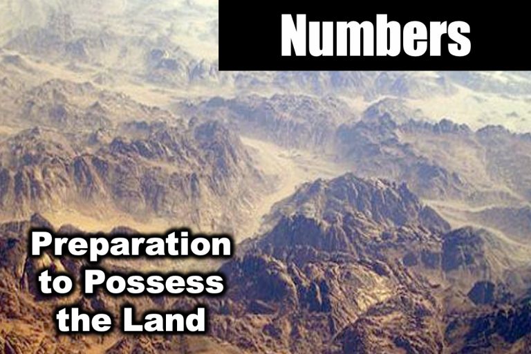 OT Survey – Bible Study Downloads