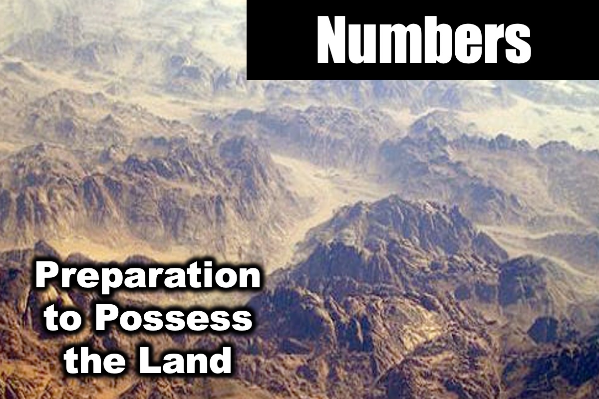 OT Survey – Bible Study Downloads