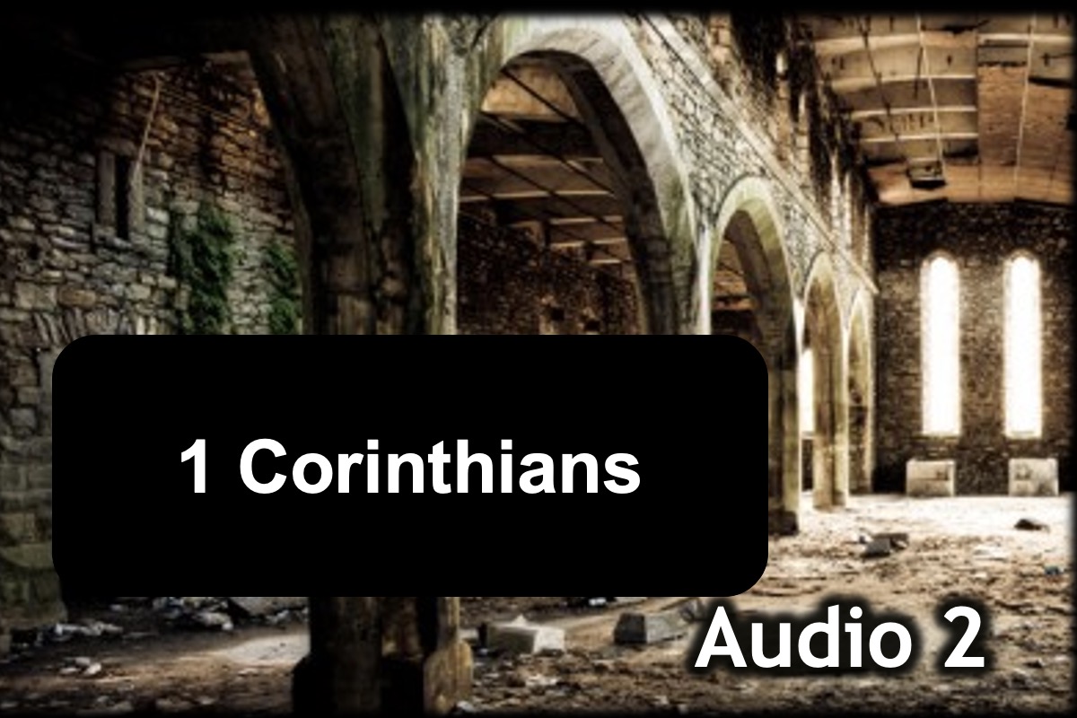 NT Survey – Bible Study Downloads