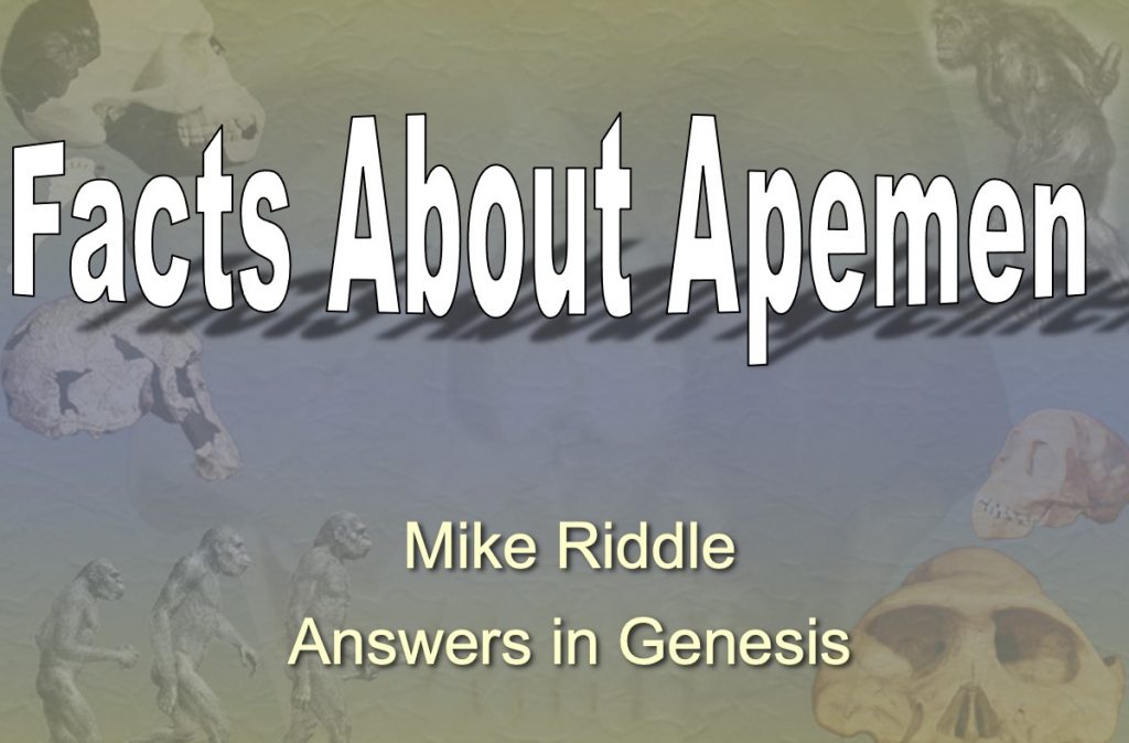 Creation – Bible Study Downloads