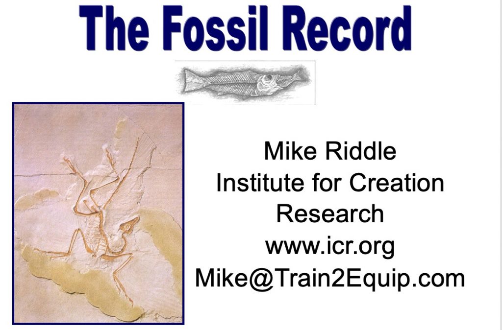 Creation – Bible Study Downloads