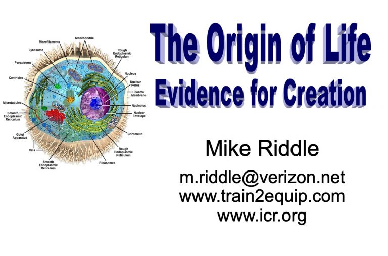 Creation – Bible Study Downloads