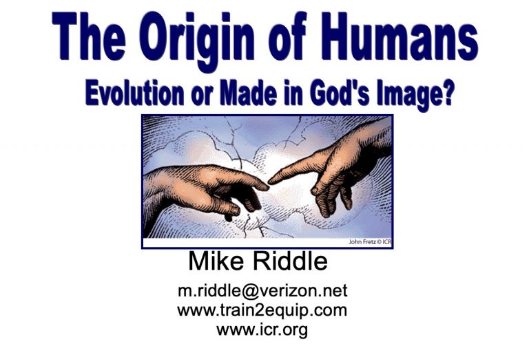 Creation – Bible Study Downloads