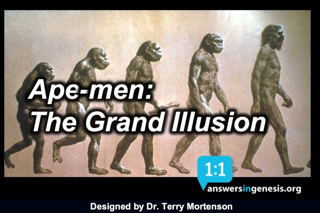 Creation – Bible Study Downloads