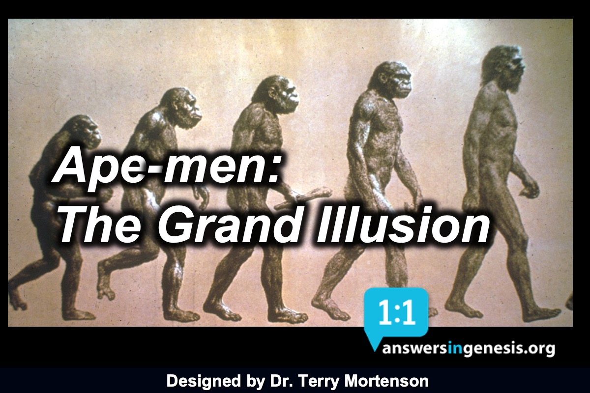 Creation – Bible Study Downloads