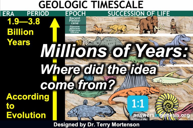 Creation – Bible Study Downloads