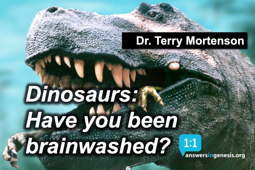 Creation – Bible Study Downloads