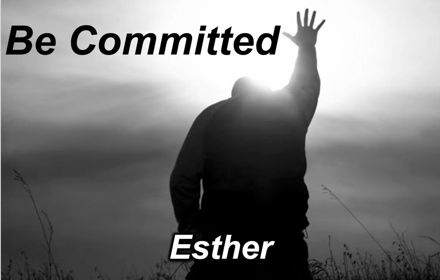 Bible Exposition – Bible Study Downloads